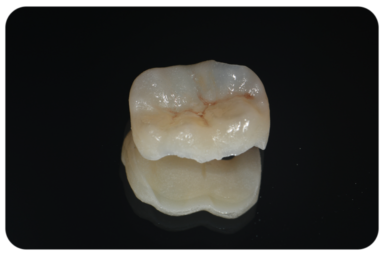 Initial LiSi Block – campaigns-gceurope