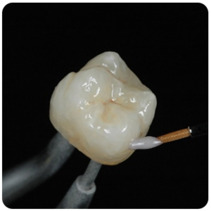 Initial LiSi Block – Lab – campaigns-gceurope